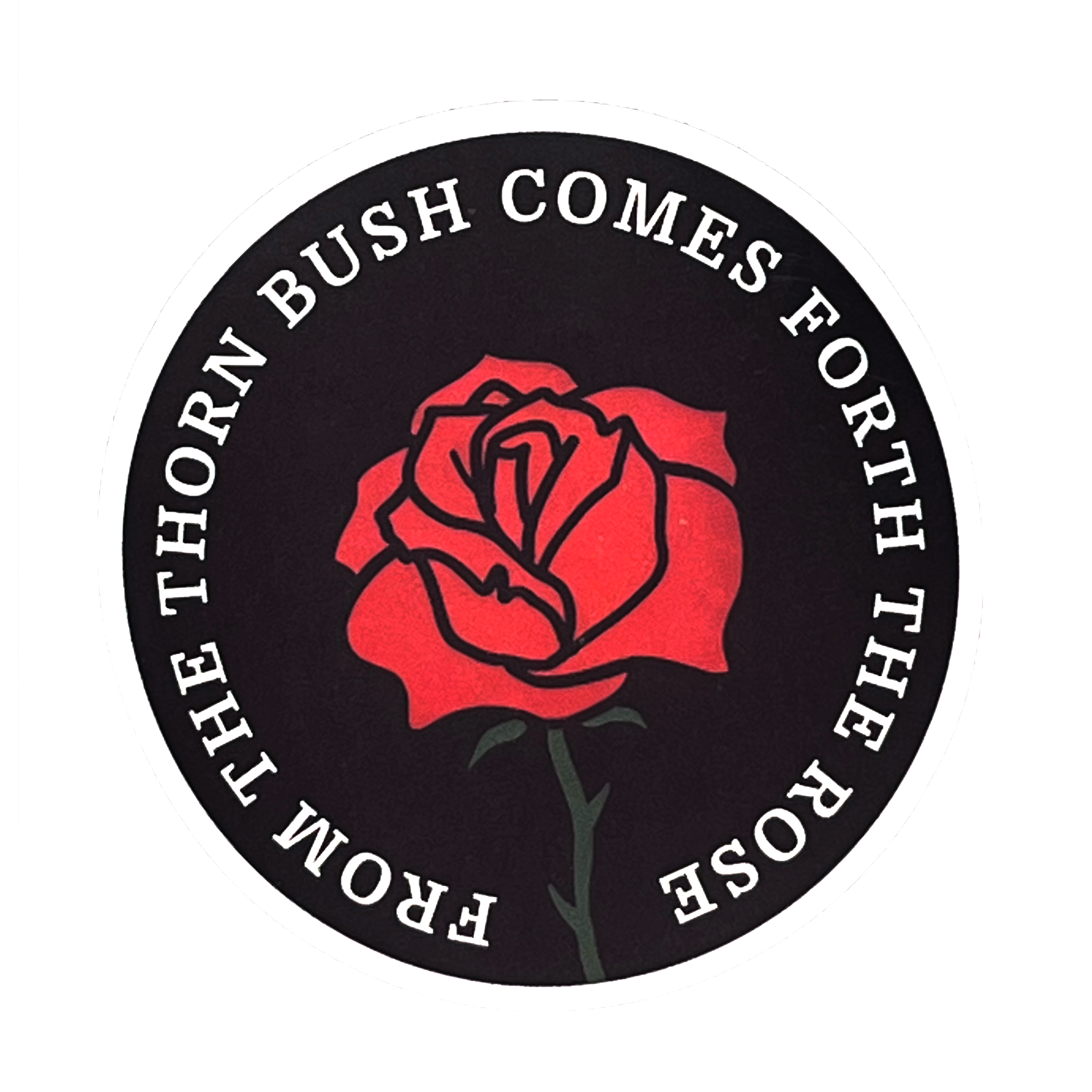 Rose Bush / Thorn Sticker | Slice - Shop, Gallery, Club & Studios
