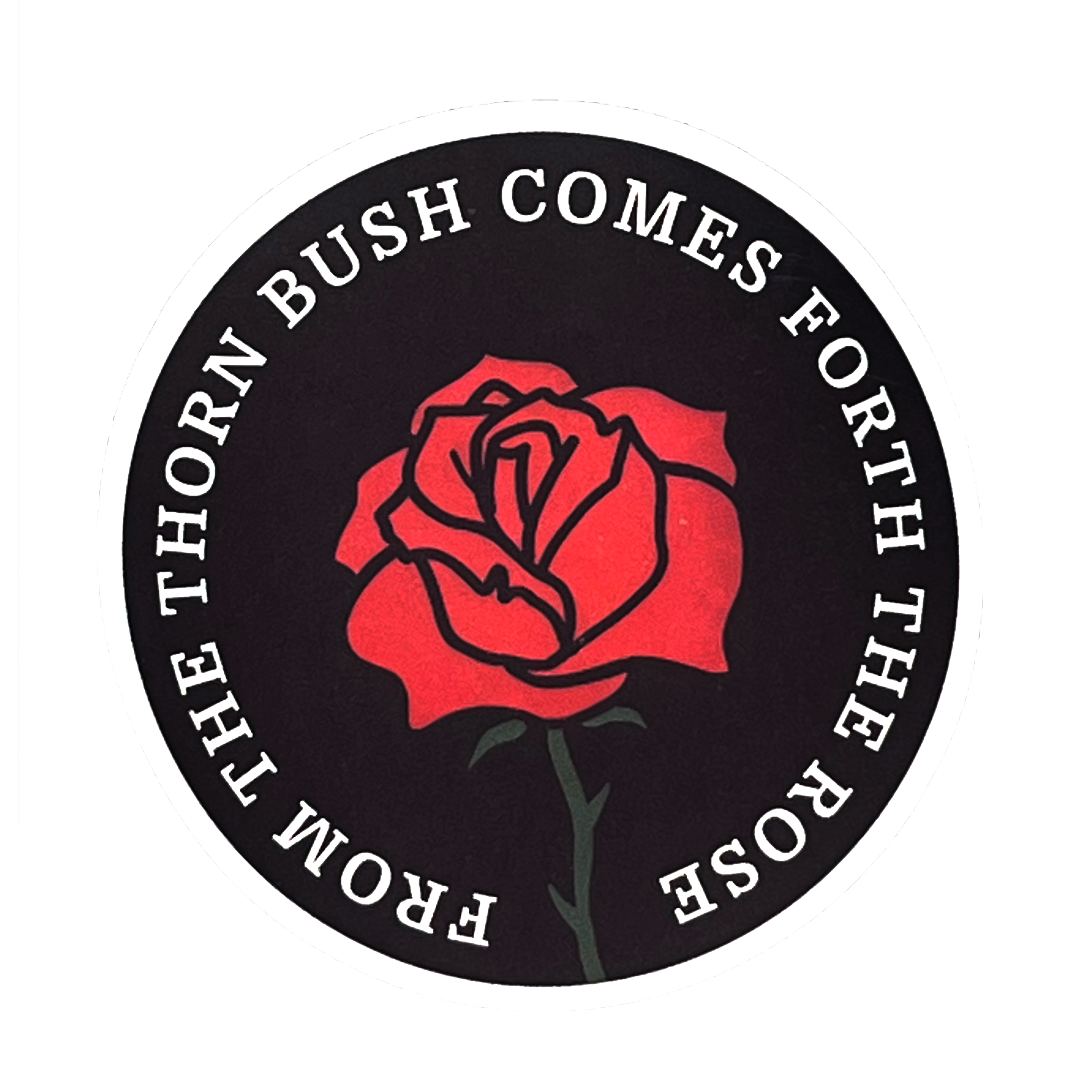 Rose Bush / Thorn Sticker | Slice - Shop, Gallery, Club & Studios