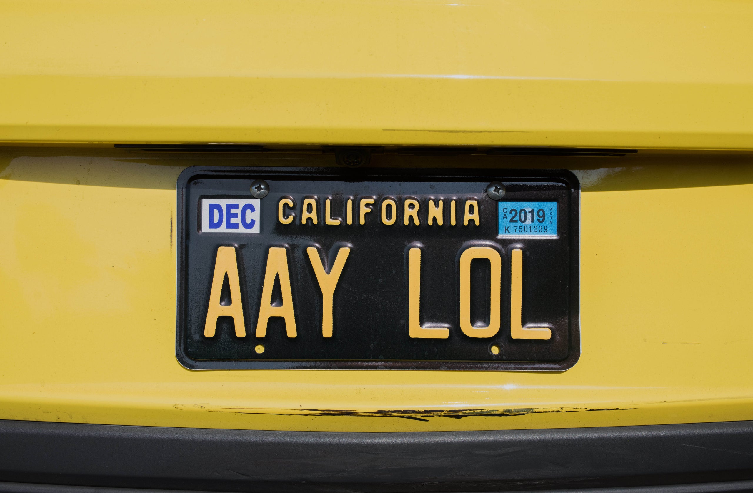 4x6 PRINT PACK | Slice - Shop, Gallery, Club & Studios